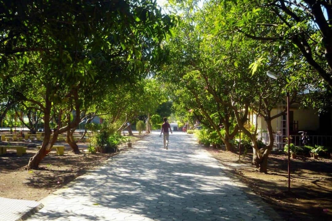 Detailed Gujarat Itinerary for 15 Days